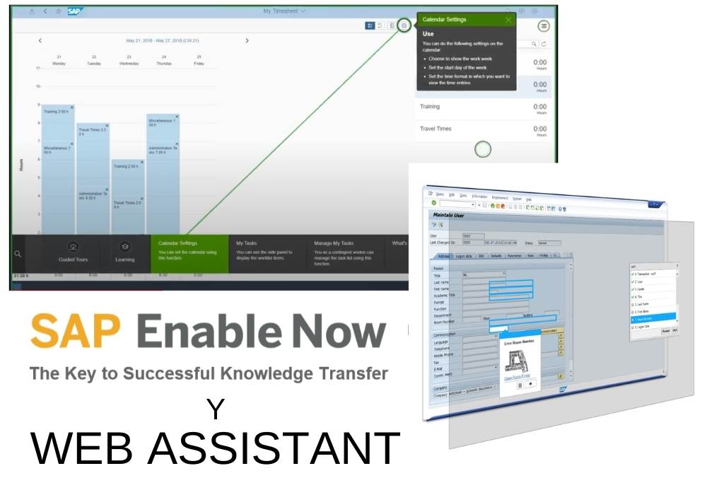 Web Assistant de SAP - COLTECINFO
